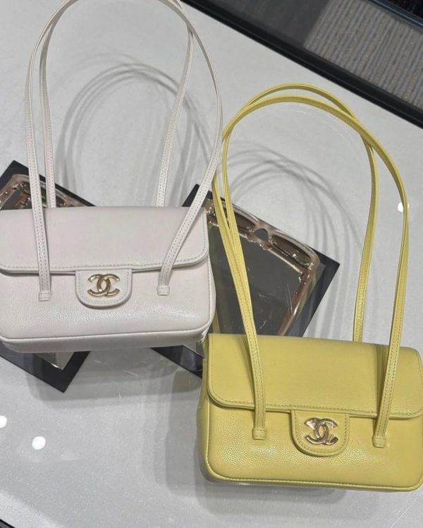 Chanel 26 Bag Guide: Everything to know before buying - LA FORMA