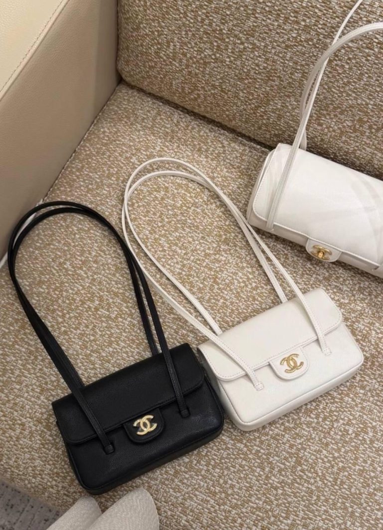 Chanel 26 Bag Guide: Everything to know before buying - LA FORMA
